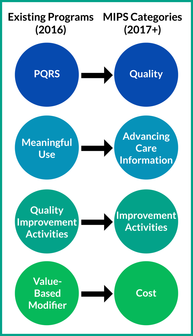 The Four Performance Categories of MIPS: PQRS in Sheep's Clothing