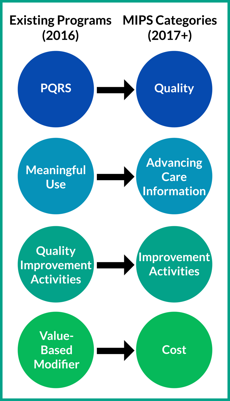 The Four Performance Categories of MIPS: PQRS in Sheep's Clothing